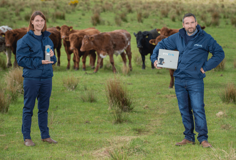 Scottish EDGE – Dyneval