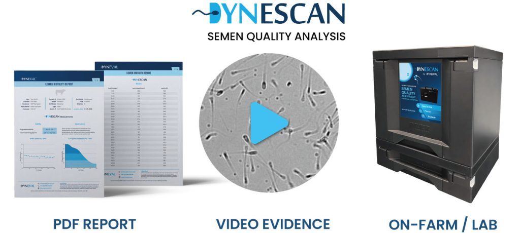 Dynescan proves to take bull fertility exams to a new level – Dyneval