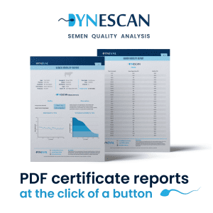 Brand Assets – Dyneval