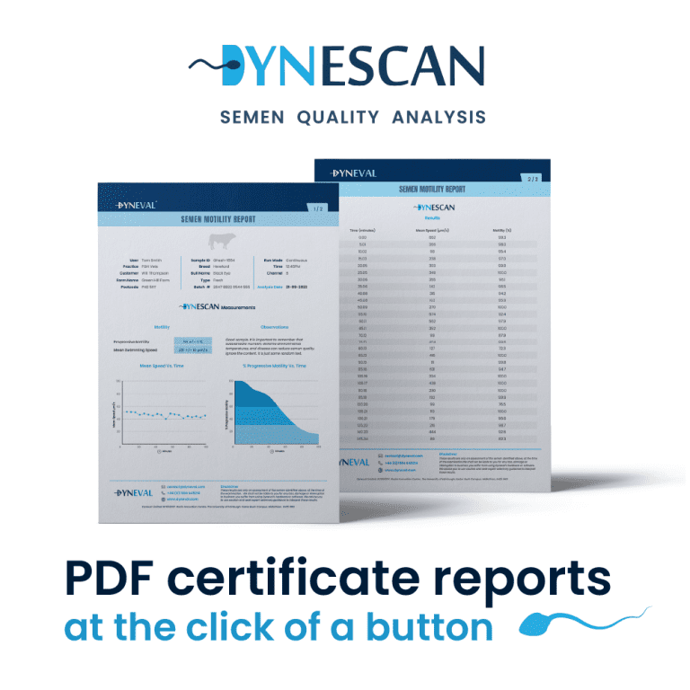 Brand Assets – Dyneval