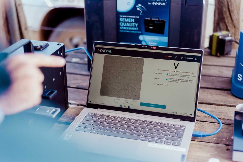 Brand Assets – Dyneval